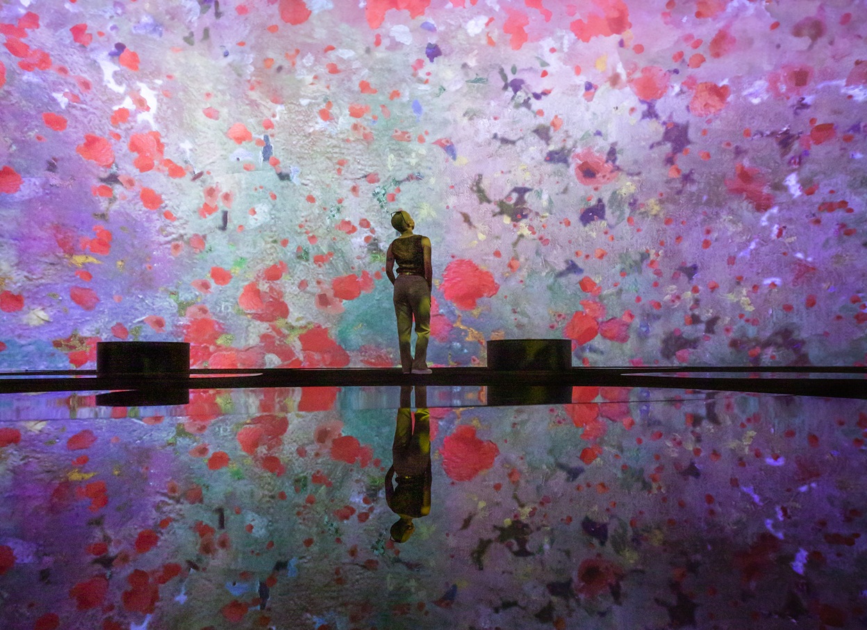 Beyond Monet - Royal Albert Dock Liverpool